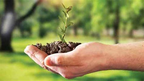 Sustainability Vs Circularity