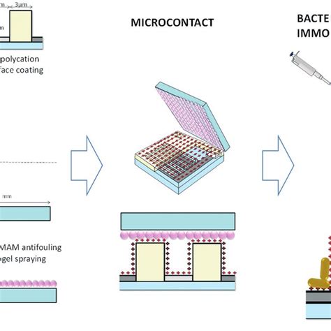 A Biosensing Platform With The Integrated B Microbial Biosensors To
