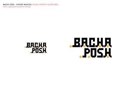 Bacha Posh Visual Identity On Behance