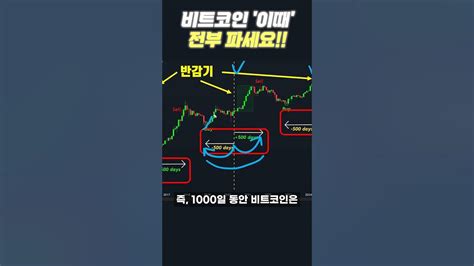 비트코인 이때 전부 파세요 Youtube