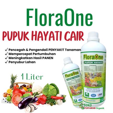Jual Trichoderma Pupuk Hayati Obat Penyakit Akar Kelapa Sawit Pgpr