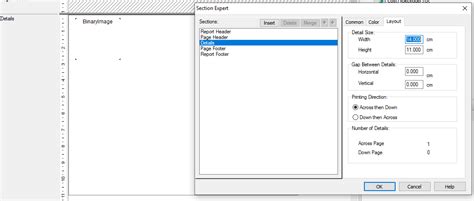 Sap Crystal Reports Runtime Engine For Net Framework Adultlasopa