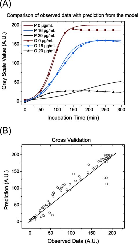 Time Lapse Investigation Of Antibiotic Susceptibility Using A Microfluidic Linear Gradient 3d