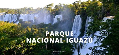 Cataratas Del Iguazú 2022 Tarifas Ubicación Flora Y Fauna