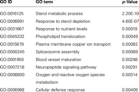 Gene Ontology Overrepresentation Analysis For Biological Processes