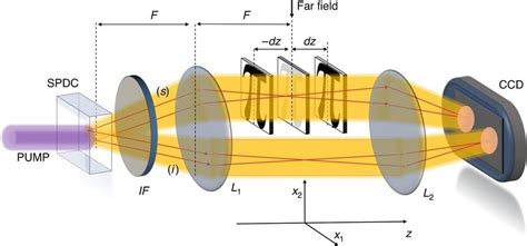 quantum enhanced non interferometric quantitative phase imaging