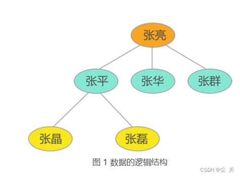 数据结构 概述数据关系 Csdn博客