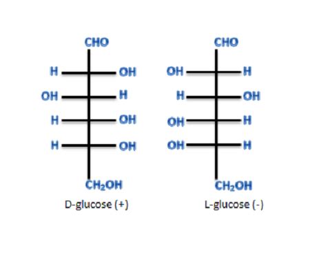 What Is The Structure Of D Glucose And L Glucose Homework