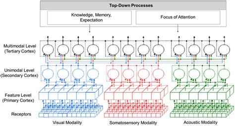 Overview Of “integrative” Solution To The Binding Problem Download