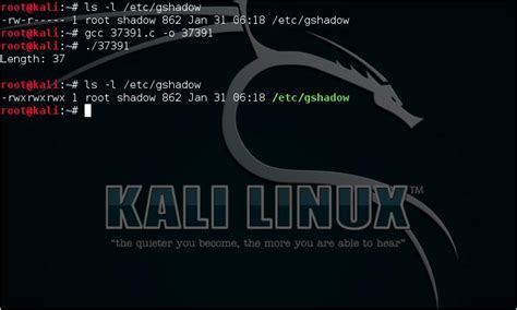 Linuxx86 Chmod Etcgshadow Shellcode 37 Bytes Linuxx86
