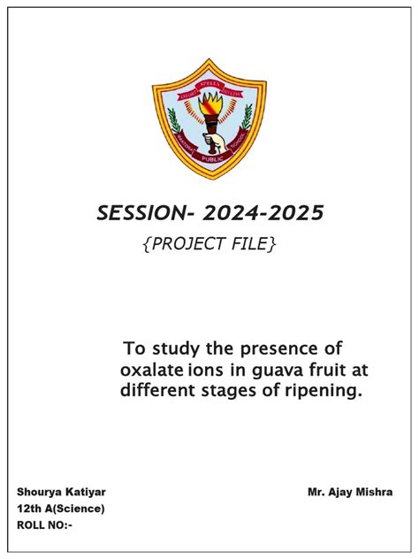 Shourya Katiyar Chemistry Project Pdf