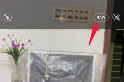 How To Shoot RAW Photos On IPhone 12 Pro And 12 Pro Max Using Apple