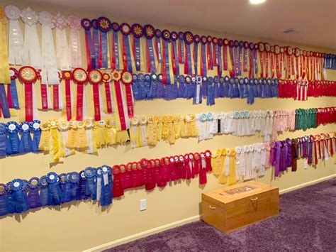 Real Ribbon Displays To Get Inspiration For Showcasing Ribbons In Your