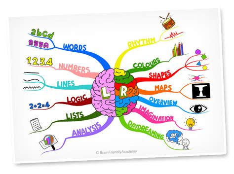 Mind Map คืออะไร แผนที่ความคิด ประโยชน์ของ Mind Map