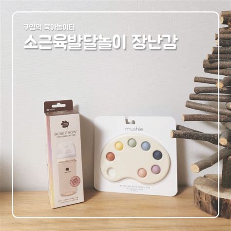 소근육발달놀이 12개월 아기장난감 무쉬 푸쉬팝과 그린핑거 베베그로우 젖병 추천 네이버 블로그