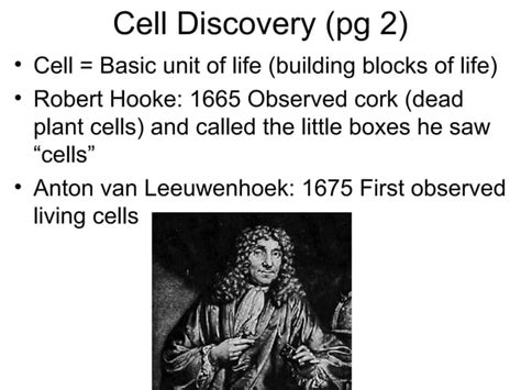 Cell Discovery Ppt
