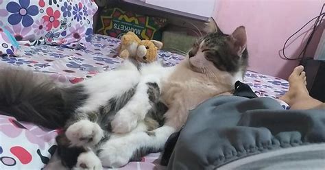 Chilling Album On Imgur
