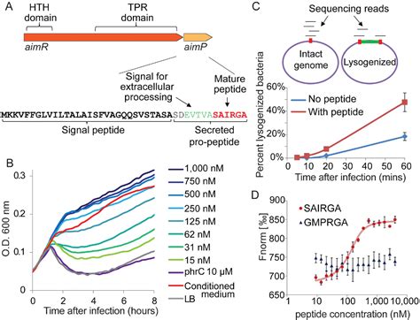 Lysogeny Semantic Scholar