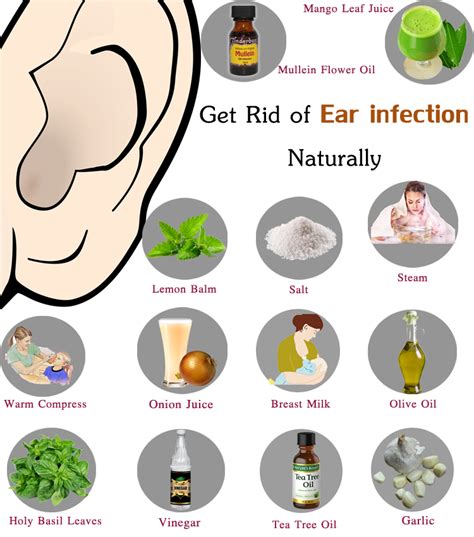 Ear Infection Treatment Philadelphia Holistic Clinic Dr Tsan And Associates