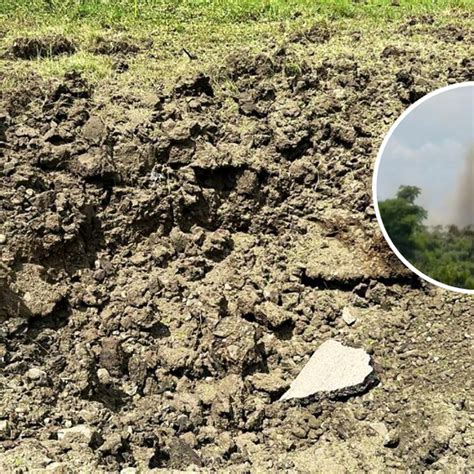 Descubren Fósil Mamífero Más Antiguo De Chile Cerca De Turísticas