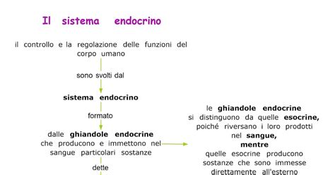 Paradiso Delle Mappe Il Sistema Endocrino