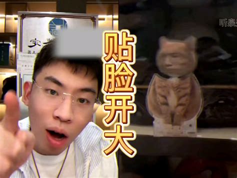 贴脸开大，法务出手！可惜败了（bushi） 听泉赏宝 听泉赏宝 哔哩哔哩视频