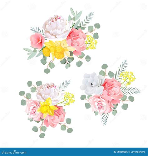大丽花花束，上升了，水仙、银莲花属、桃红色花和玉树叶子 向量例证 插画 包括有 装饰 要素 78150806