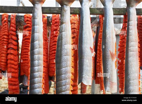 Arctic char raw hi-res stock photography and images - Alamy