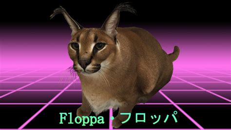 Big Floppa Wallpapers Wallpaper Cave