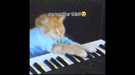 Remember Keyboard Cat🥲 Shorts Sad Keyboardcat Youtube