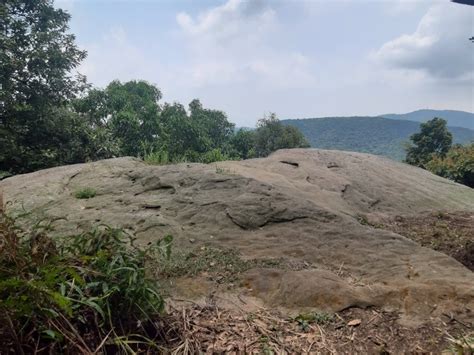 台北士林 四 雙溪山東北峰雙溪溝前峰梅花山西南峰雙溪山溪山里山內雙溪山仙座台山 健行筆記