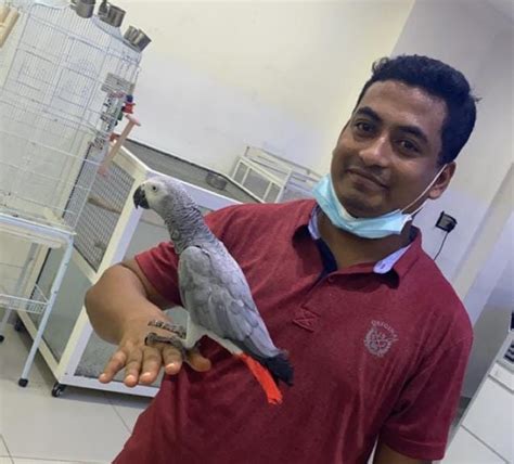 5 Best Birds Store In Dubai Birds Market In Dubai Uae Insure