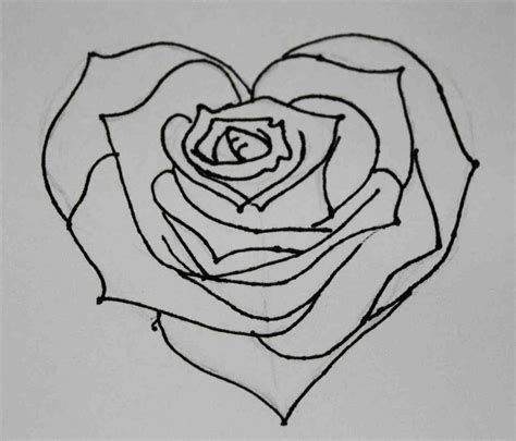 Rose Sketch Easy At Explore Collection Of Rose Sketch Easy