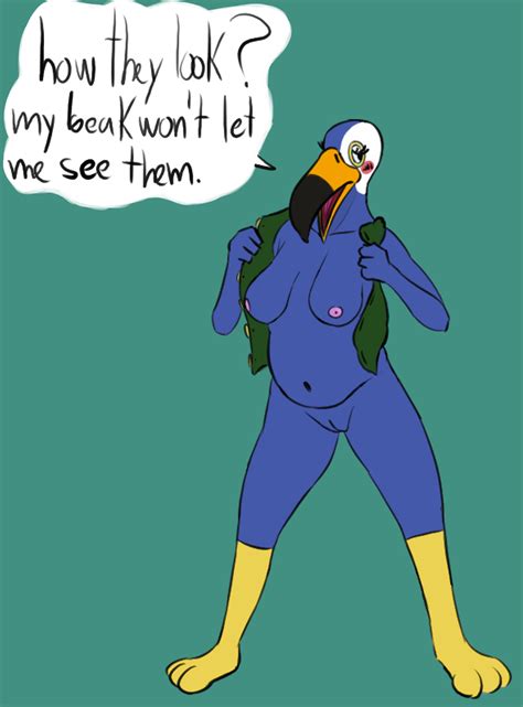 Rule 34 2021 Anthro Artrogero Avian Beak Belly Big Breasts Bird Blue
