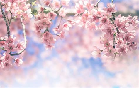 Create A Realistic 3d Environment Design In Unreal Engine By Seleboro Fiverr