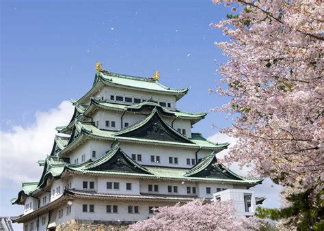 Nagoya Sightseeing Attractions