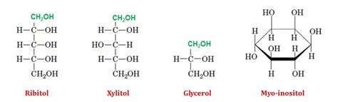 What Are Sugar Hexose Derivatives Easybiologyclass