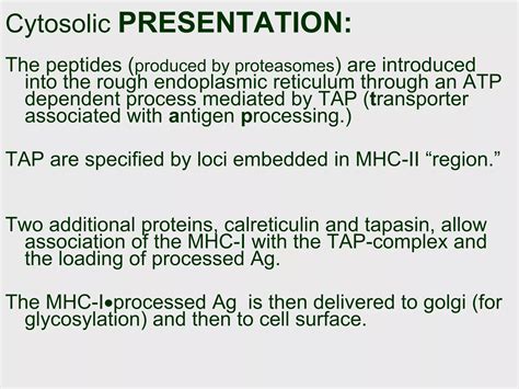 Antigens Processing And Presentation Mid Ppt