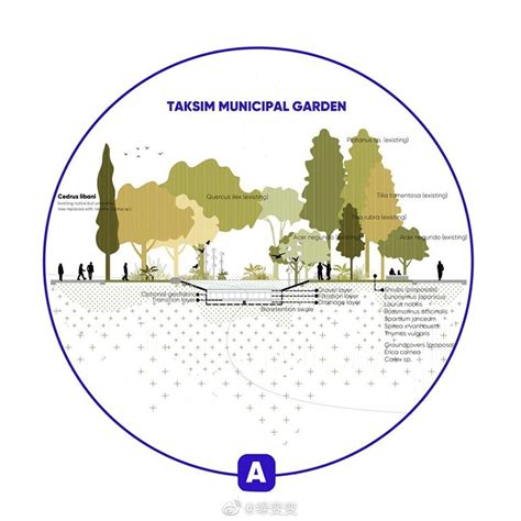 Pin Von Nathalie Mitchell Auf General Landscape Representation Piktogramm