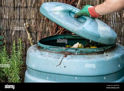 Detail Of Plastic Compost Bin With Earthworms In Small City Garden With