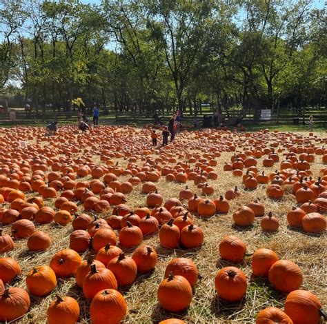 Queens County Farm Museum Hosting Halloween Themed Event Sunday