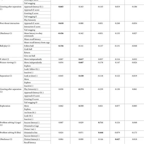 Results Of The Exploratory Factor Analysis Of The Video Coding