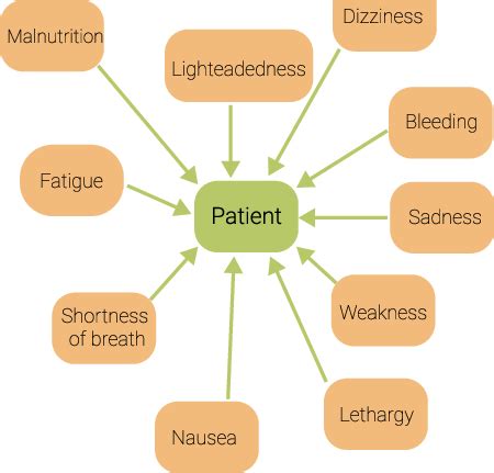 Example Of The Anemia Disease Dynamic Knowledge Graph That Generated In