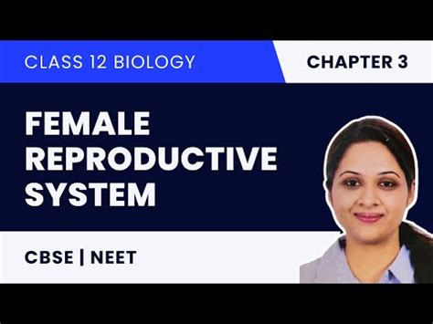 Introduction To Female Reproductive System Video Lecture Biology Class Neet