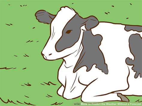 4 Ways To Predict The Weather Without A Forecast Wikihow