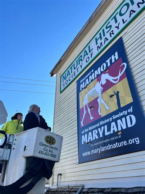 So Cool Caitlin Ceryes