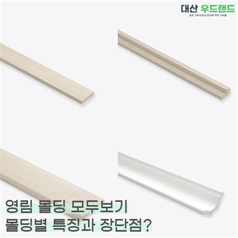 갈매기몰딩과 걸레받이 Pvc 영림몰딩으로 알아보자 네이버 블로그