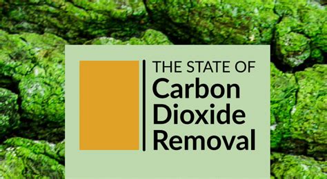 What It Takes To Close The Huge Carbon Removal Gap