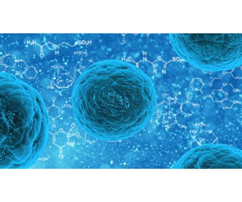Gut Health From Gaithersburg Dietitian Kay Loughrey