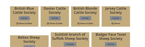 Call To Action Not Displaying Correctly Relementor